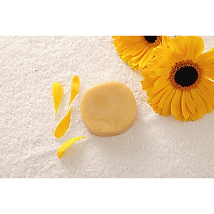 BeNat All-Natural Conditioner Bars Handmade & Sulfate Free Nourishes Your Follicles with Antioxidants to Support Strong and Healthy Hair Lemon for All-Hair Types Zero-Waste Eco-Friendly