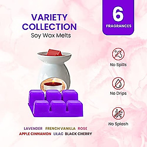 Scented Wax Melts Wax Cubes for Scented Wax Warmer - 100% Soy Wax Melts - 6 Fragrances X 6 Cubes - Lavender, Vanilla, Rose, Apple Cinnamon, Lilac and Black Cherry, Made in USA