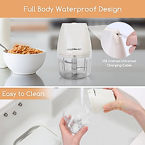 Aigostar Electric Mini Garlic Chopper, Cordless Mini Chopper Food Processor, Portable Small Food Chopper, Mini Garlic Chopper Blender for Onion Ginger Spice Meat, Veggie, Nuts, Baby Food, Puree 250ml