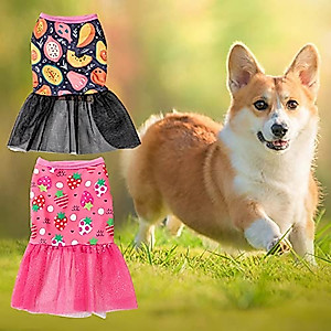 Pet Supplies Pet Dress Lace Design Printing Sweet Strawberry Rabbit Princess Dress Pet Supplies Pet Clothes