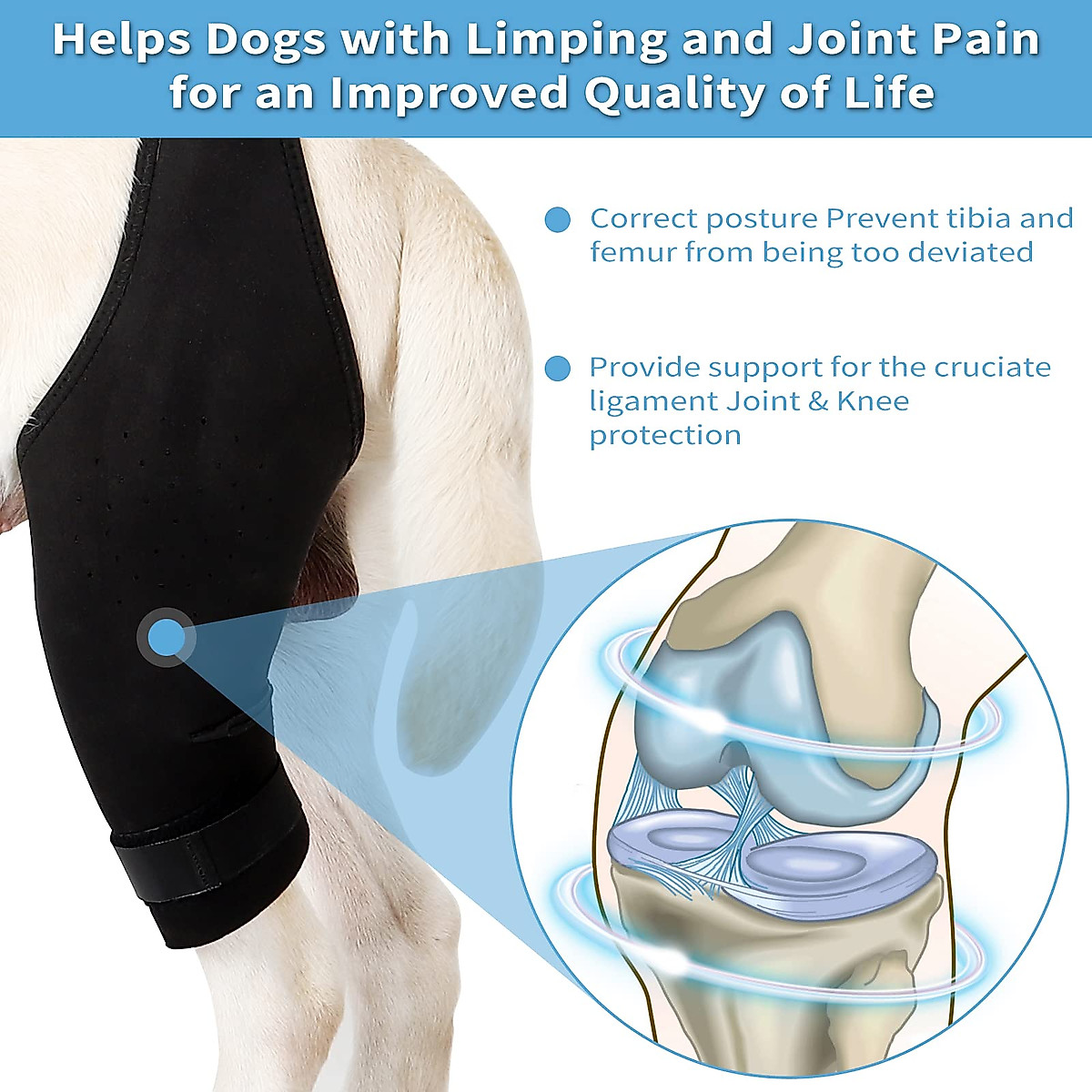 Noillow Dog Knee Brace, Dog Leg Brace for Sprain ACL, CCL, Arthritis - Keeps The Joint Warm and Stable, Leg Wounds Care and Prevent Licking, Dog Rear Leg Luxating Patella Brace-Right-L