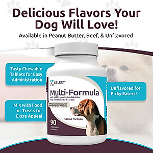 K9 Select Multi-Formula Dog Vitamins for Medium Dogs - 20mg HMR Lignans, 2mg Melatonin, 40mg Milk Thistle - Helps Heart, Liver, Digestion, Skin & Coat Health, Dog Multivitamin, 90 Capsules