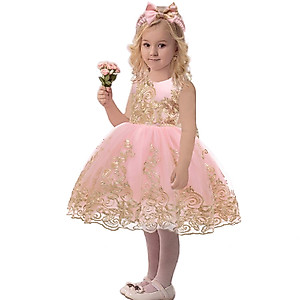 Baby Princess Girls Embroidery Dresses Toddler Lace Ruffles New Year Easter Tutu Dress with Headwear (Pink02,80)