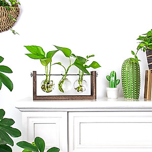 Ivolador Plant Terrarium, Wall Hanging Glass Planter with Wooden Stand Tabletop Propagation Station with Metal Swivel Holder Retro Rack 3 Bulb Containers for Hydroponics Plants Home Office Decor