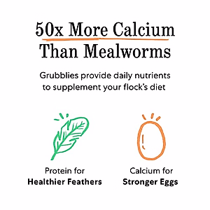 Grubblies Dried Black Soldier Fly Larvae - Healthier Chicken Treats Than Mealworms for Chickens - Chicken Feed Supplement with 50x Calcium, Natural Grubs for Chickens, Hens, Ducks - 5 LB