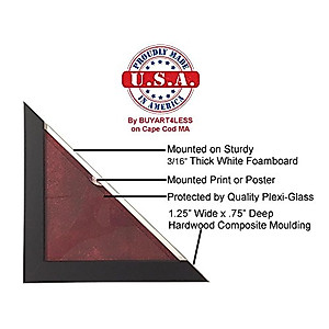 buyartforless Work Framed Sublime Crazy Fool Brad Nowell Long Beach 36x24 Music Art Print Poster, Beige