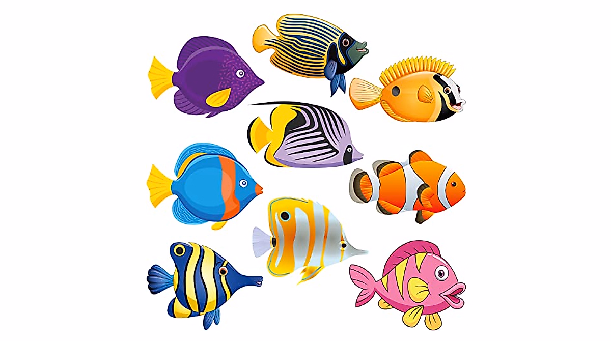 Colorful Ocean Fish Cutouts for Craft and Decor