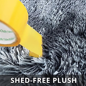 ROCYJULIN Area Rug 5x7 for Bedroom, Fluffy 5x7 Area Rugs for Living Room, Ultra Soft 5x7 Rug Non-Slip Shag Fuzzy Rug for Nursery, Kids, Girls, Boys, Grey