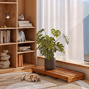 TINAMO One Step Stool for Elderly (35" Length) - Acacia Wood High Riser Step Stool with Non-Slip Pads - 550 Lbs Wooden Mobility Stepping Stools for Handicap, Bed, Bathroom, Kitchen (35" L x 16" W)