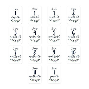 lulujo Baby’s First Year Milestone Blanket and Card Set | 40in x 40in (Hello World)