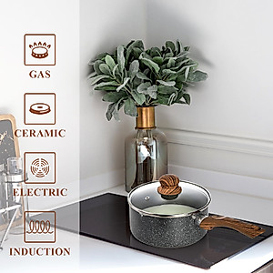 Yarlung 2 Quart Sauce Pan with Lid, 7 Inch Nonstick Small Cooking Pot Saucepan, Milk Heating Soup Pot with Cool Handle, Easy Assembly, Induction Compatible