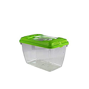 Penn-Plax Small World Habitat – Portable Clear and Transparent Plastic Tank – Excellent for Small Critters and Creatures – Easy to Clean & Handle – 0.6 Gallon