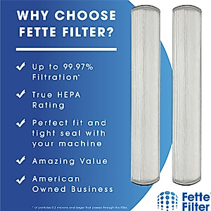 Fette Filter - Air Purifier True Hepa Filter Compatible with Envion Therapure TPP230 & TPP240 Compare to Part # TPP240F - Pack of 2