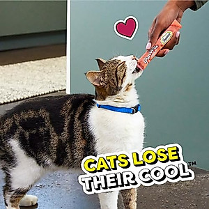 Temptations Creamy Puree with Salmon Lickable, Squeezable Cat Treats, 0.42 Oz Pouches, 16 Count