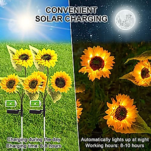 TIMGHKS Solar Sunflower Lights - Outdoor Solar Garden Lights IP65 Water-Resistant with 3 Sunflower Lights Auto On/Off Suitable for Garden,Yard,Bbackyard,Lawn,Pathway Decor 2 Pack (3 Heads)
