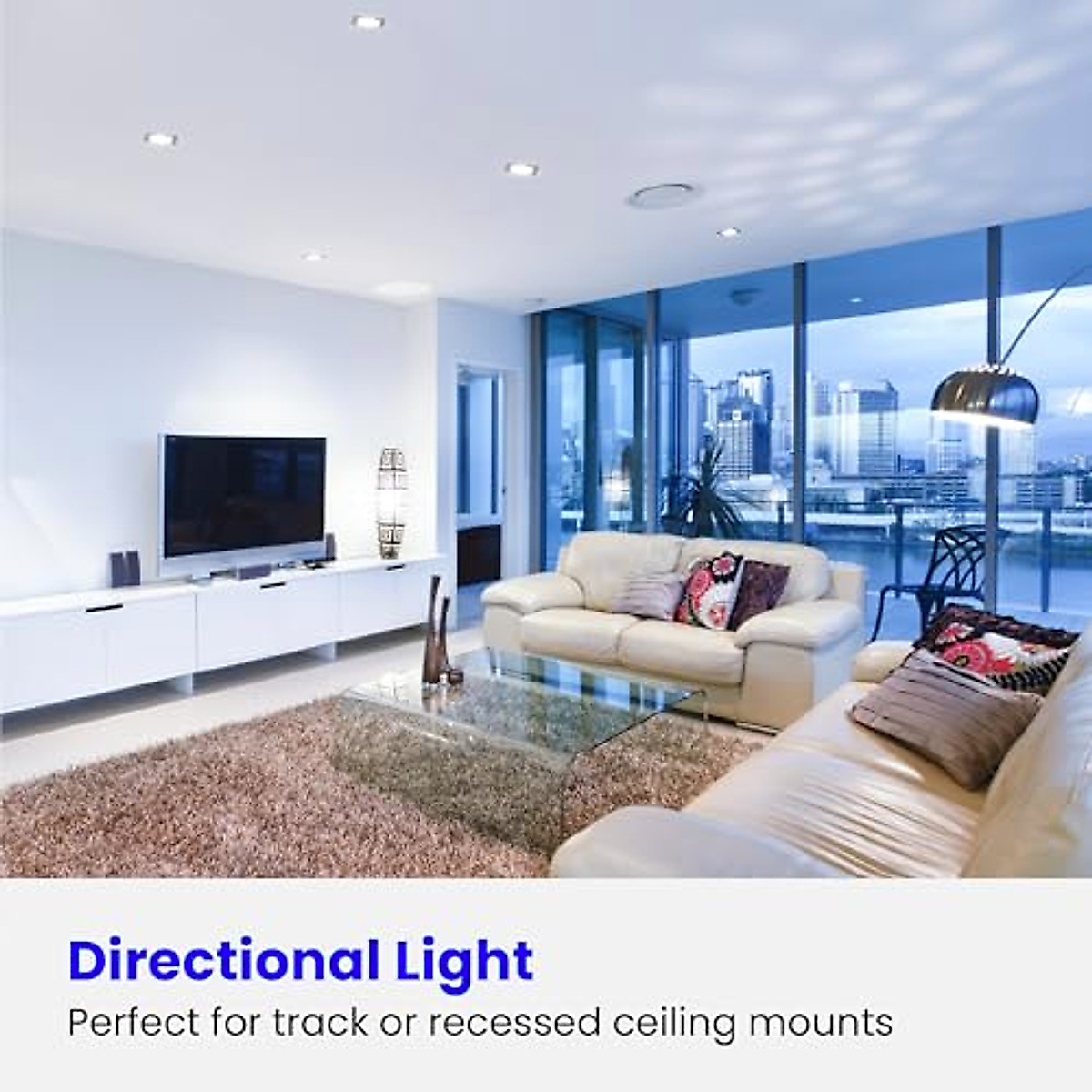 Feit Electric BR30 LED Light Bulbs, 65W Equivalent, Non Dimmable, 10 Year Life, 650 Lumens, 5000K Daylight, E26 Base Recessed Can Light Bulbs, Flood Light Bulbs, Damp Rated, 3 Pack, BR30/850/10KLED/3