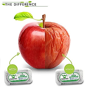 Fridge Ninja Fridge Deodorizer (2 Pack) - More Effective Than Baking Soda - Natural and Unscented Activated Charcoal Refrigerator Deodorizer - Fridge Odor Eliminator for Freezers, Coolers, and Lunch Boxes