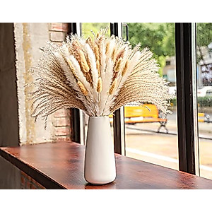 Der Rose 17 Inches Dried Pampas Grass for Boho Bathroom Bedroom Kitchen Living Room Office Home Room Fall Decor Aesthetic