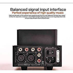 XDUOO TA-20 High Performance Balanced Tube Headphone Amplifier Power Amplifier (Black)