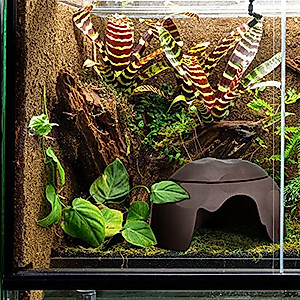 Fischuel Reptile Hides Humidification Cave Help Your Pets Shedding , A Damp Hideout with Natural Rock designto, Suitable for Bearded Dragons Lizards Leopard Gecko Spiders Turtles and Snakes（Brown）