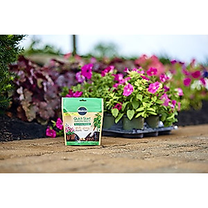 Miracle-Gro Quick Start Planting Tablets (Pack of 2)