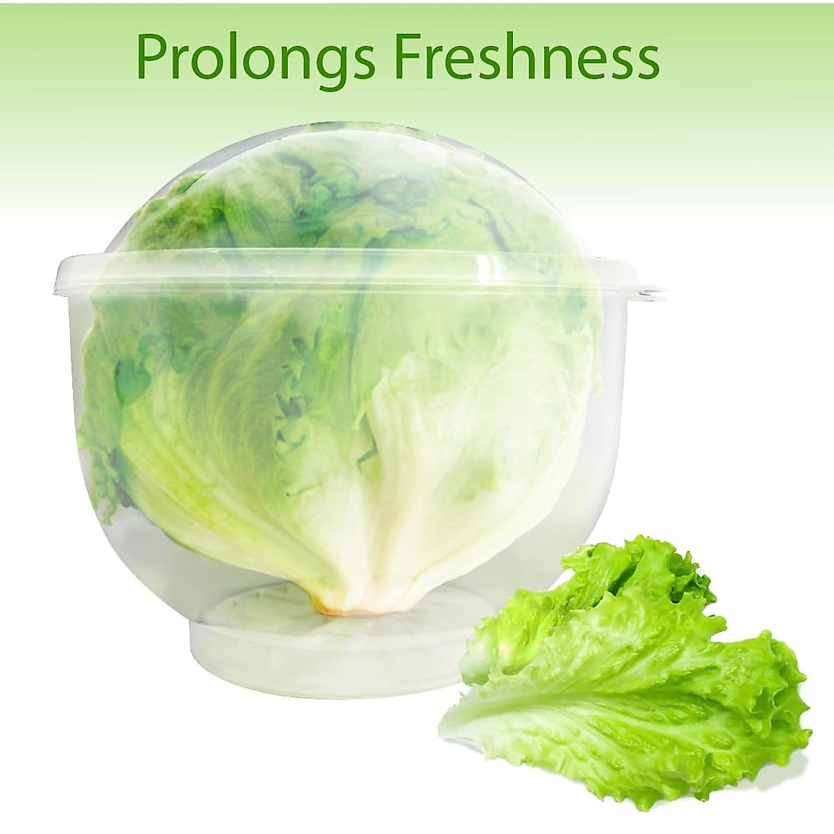 Trenton Gifts Lettuce And Vegatable Storage Keeper | 7" X 8"