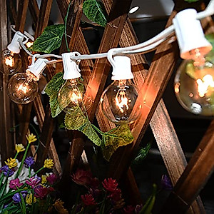 Pallerina 25FT G40 Outdoor String Lights with 27 Globe Clear Bulbs(2 Spare) Patio String Lights Outdoor Waterproof for Party Wedding Garden Commercial Decoration, 5 Watt Bulbs E12 Base- White Wire