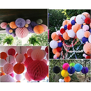 Daily Mall 10Pcs 8 inch Art DIY Tissue Paper Honeycomb Balls Party Partners Design Craft Hanging Pom-Pom Ball Party Wedding Birthday Nursery Decor (Colorful)