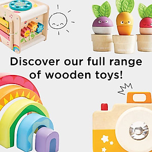 Hot Air Balloon Baby Gym Premium Wooden Toys for Kids Ages 2 Months & Up