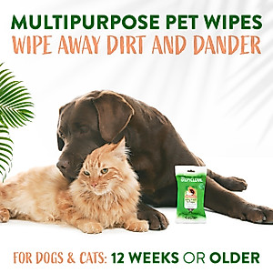TropiClean Papaya & Coconut Dog Wipes for Paws and Butt | Deep Cleaning Dog Grooming Wipes | Safe for The Face | Cat Friendly | 20 Count