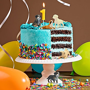 Toymany 12PCS Mini Dog Figurines Playset, Realistic Detailed Plastic Puppy Figures, Hand Painted Emulational Tiny Dogs Animals Toy Set, Cake Toppers Christmas Birthday Gift for Kids Toddlers