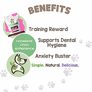 Nature Gnaws Beef Gullet Chews for Large Dogs 9-10" (10 Count) - Natural Beef Jerky Stick Dog Chew Treats - Rawhide Free