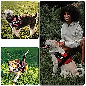 Custom Patch 2 Pieces Dog Vest Patches, Personalized Removable Tactical Patches for Dog Harness Service Dog in Training and Dog Halter Patches with Hook and Loop