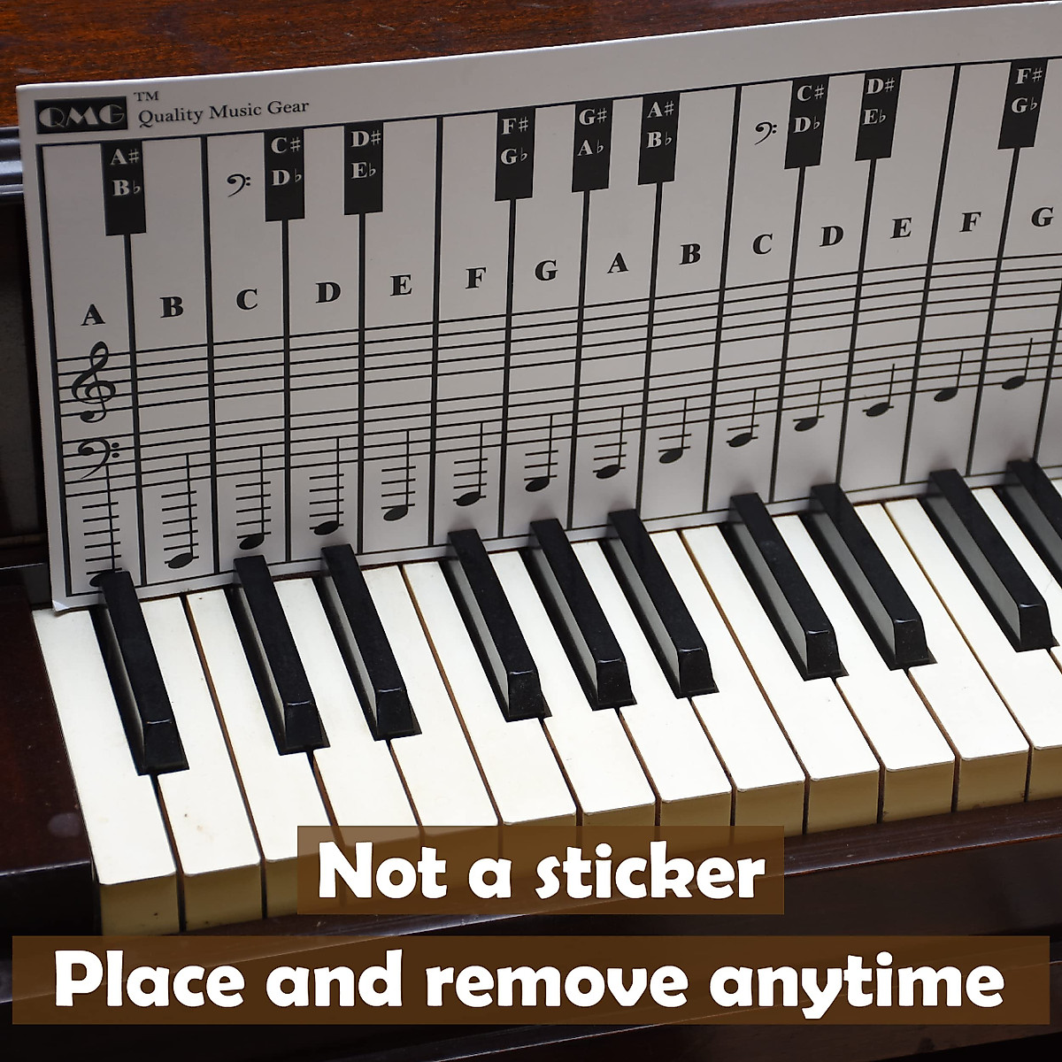 QMG Piano and Keyboard Note Chart for 88 Keys, Use Behind the Keys, Ideal Visual Tool for Beginners Learning Piano or Keyboard, Easy to Set Up