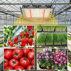 alaghi Grow Light for Indoor Plant, 144 LED Full Spectrum Grow Light,Grow Lamp with On/Off, Suitable for Indoor Plants,Outdoor Gardens,Growing Tents,Greenhouse Planting (A400)