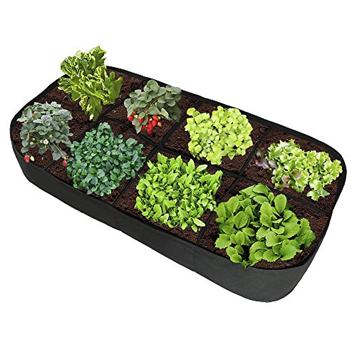 ASSR Fabric Raised Garden Bed, 135 Gallon 8 Holes Rectangle Breathable Planting Container Grow Bag Planter Pot for Plants, Flowers and Vegetables