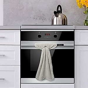 R HORSE 4Pcs Grey Hand Towels with Hanging Loops, Absorbent Coral Fleece Gray Kitchen Hanging Hand Towel Soft Thick Oven Towel Dish Cloth Dry Towel for Kitchen Bathroom