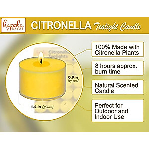 Tealight Citronella Candles Outdoor - 8 Hour Burn Time - Indoor and Outdoor Mosquito, Insect and Bug Repellent Citronella Candle - Natural Fresh Scent – Decorative in Clear Cup - 40 Pack