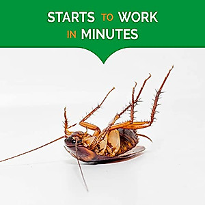 Hot Shot Ultra Clear Roach & Ant Gel Bait, 1-Count, 6-Pack, Plain