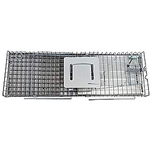 Animal Trap (32"x10"x12") - Best Humane Animal Trap for Gophers, Racoons, Possums, Groundhogs, Beavers and Other Similar Sized Animals. Easy Trap Catch & Release cage with 1-Door by LifeSupplyUSA