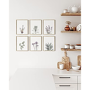 HAUS AND HUES Floral Prints and Plant Posters Set of 6 Botanical Prints Wall Art & Floral Wall Art, Wildflower Wall Art Plant Wall Art Minimalistic Wall Art Plant Set (8"x10", UNFRAMED)