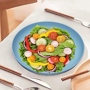 PUPOPIK 9 Inches Unbreakable Wheat Straw Plates - Reusable Plate 4 Set - Dishwasher & Microwave Safe - Dinner Dishes- Healthy BPA Free, Salad Platest - Camping Picnic Plastic Plate for Kids