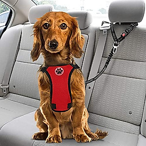 SlowTon Dog Seat Belt, 2 Pack Pet Car Seatbelt with Elastic Bungee Buffer, 2 in 1 Adjustable Headrest Restraint Reflective Puppy Safety Harness (Black-Dual Use)