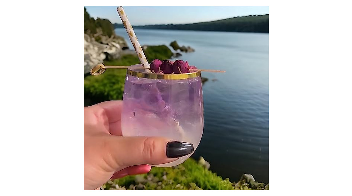 48 Unbreakable Plastic Wine Glasses - Gold Rim Set