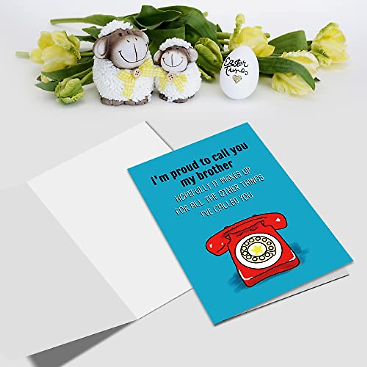 Nchigedy Funny Birthday Card for Brother, Bro Birthday Greeting Card, I'm Proud To Call You My Brother