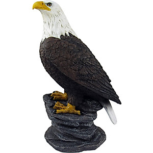 DWK - Liberty - Majestic American Bald Eagle on Rock Desk Statue Figurine Patriotic Sculpture USA Freedom Office Bookshelf Tabletop Home Decor Accent, 9-inch…