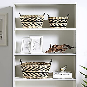 Motifeur Water Hyacinth and Paper Handwoven Basket (Assorted Set of 3, Beige and Black)