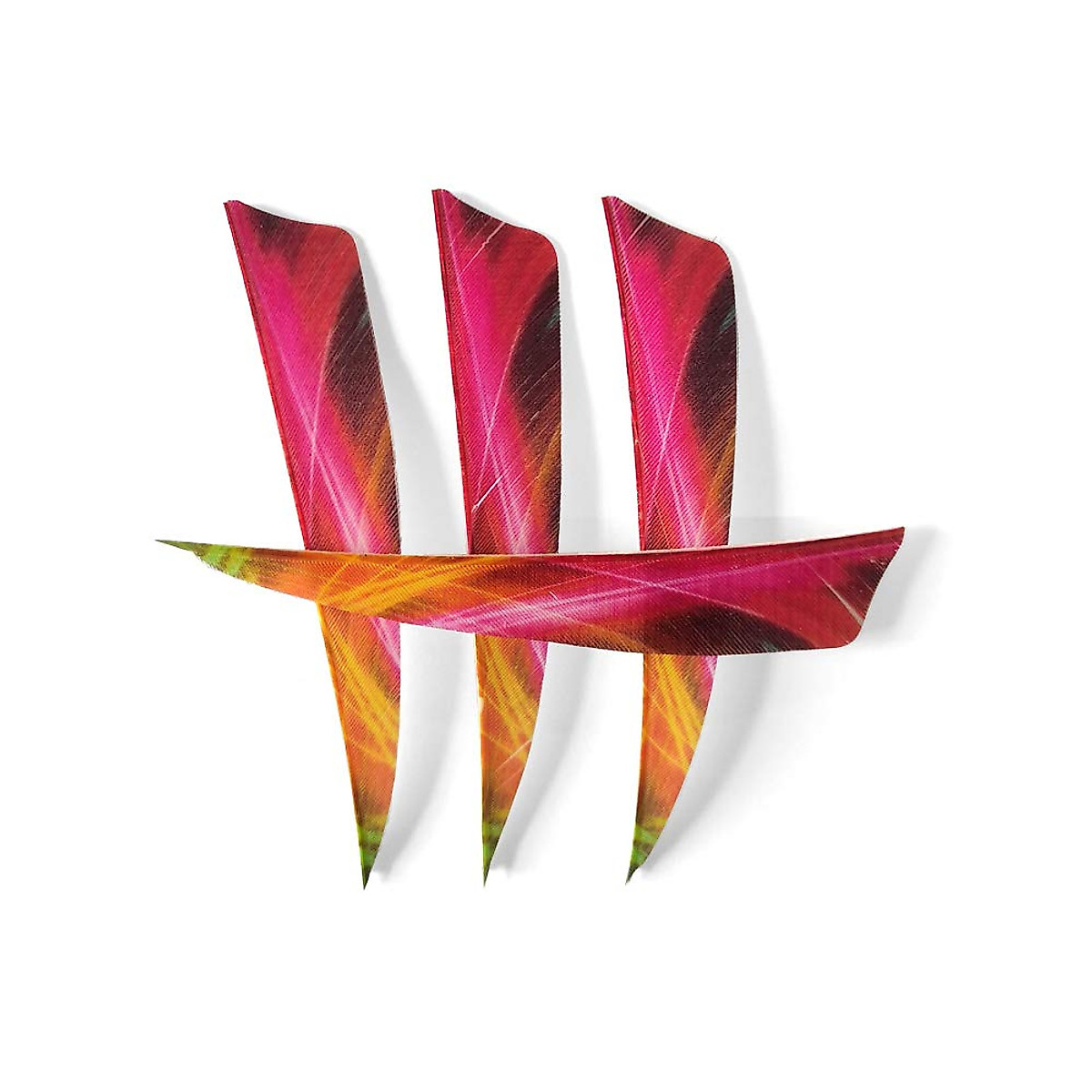 AMEYXGS 50pcs Archery Arrow Feather 4 Inch Natural Turkey Faether Colorful Arrow Fletches Right Wing Hunting Shooting Target Arrow Accessory (color 6)