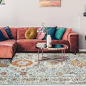 Superior Idalia Indoor Area Rug