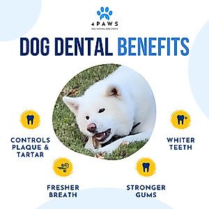 4PAWS Himalayan Yak Cheese Dental Chews | 100% Natural Dog Chews | Lactose Free, Gluten Free | Long-Lasting Dog Treats (5 Small Chews)